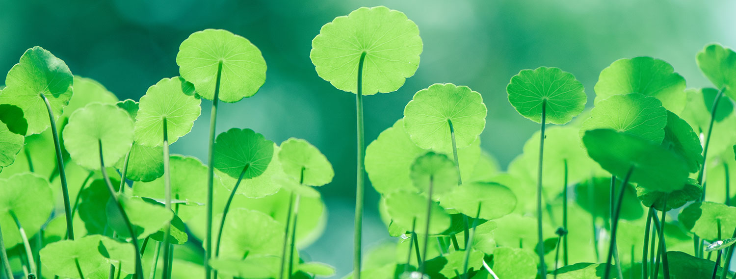 Vasti – Die Sache mit dem Einlauf - RoSana Ayurveda Kurzentrum